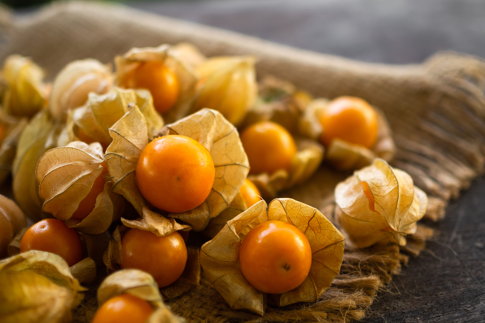 Physalis : Tout savoir sur un fruit | Marché Frais