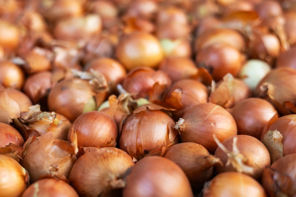 Oignon : Tout savoir sur ce légume | Marché Frais