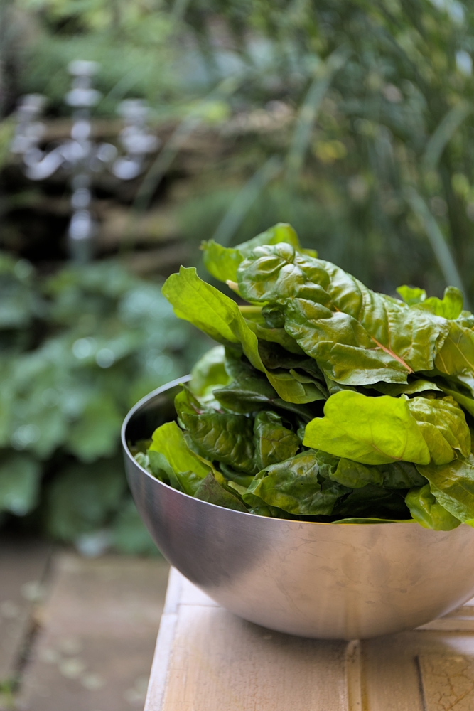 Blette : Tout savoir sur ce légume Marché Frais | Marché Frais